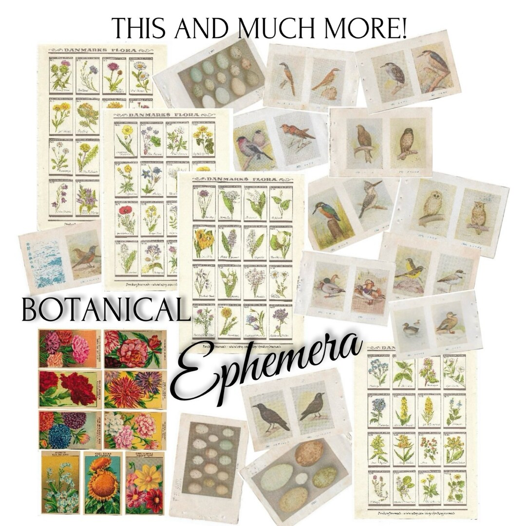 DIGITAL Vintage Botanical Ephemera Set, Flowers, Birds, Eggs, Japanese ...