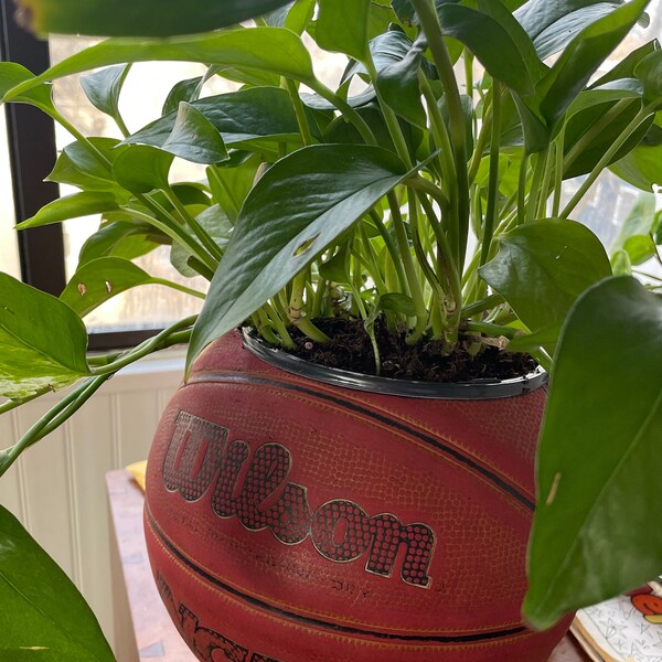 Basketball Planter - Etsy