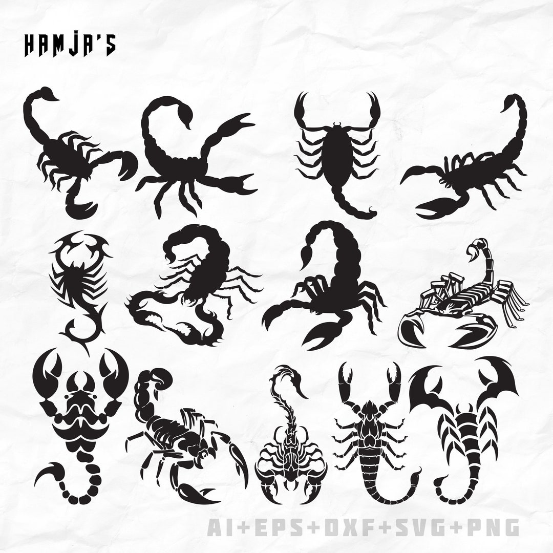 Scorpion SVG Bundle, Scorpion PNG Bundle, Scorpion Clipart, Scorpion ...