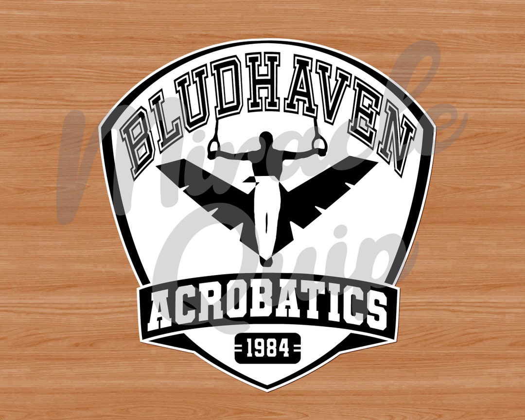 Nightwing Bludhaven Acrobatics Sticker - Etsy