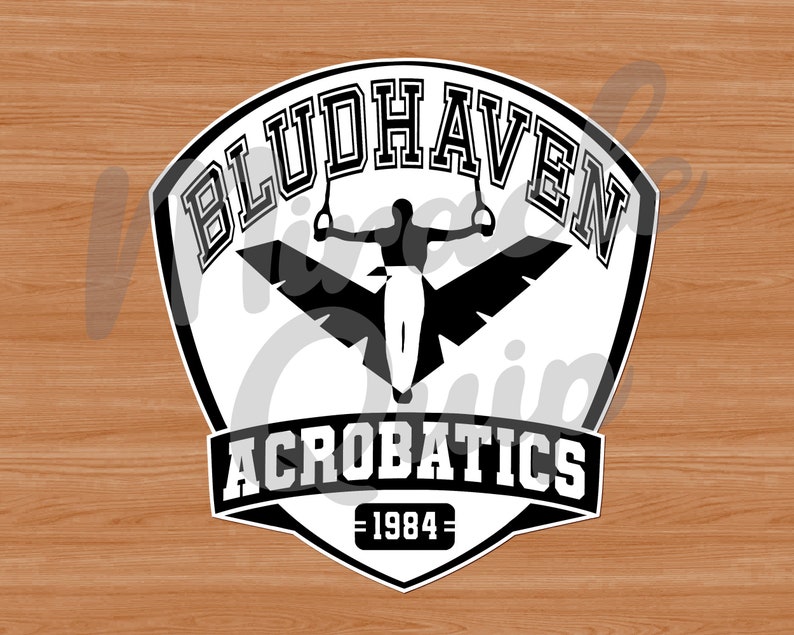 Nightwing Bludhaven Acrobatics Sticker - Etsy