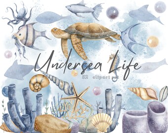 Cute Under the Sea Animals Watercolor Clip Art Bundle Sea Animals ...