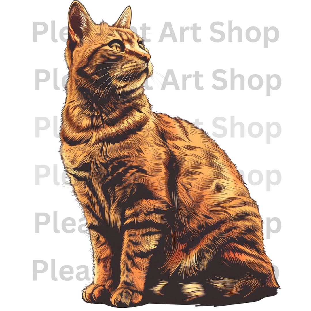Orange Tabby Cat Clipart SVG Cat Lover Graphic Sublimation Instant ...