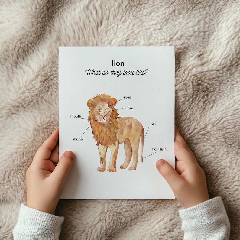 Printable Lion Diagram for Pre School – Watercolor Illustrations for ...