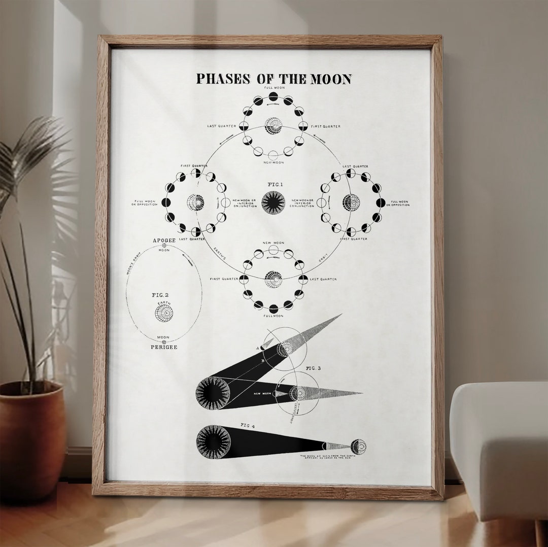 Phases of the Moon Poster, MOON Phases Printastronomy Phases of the ...