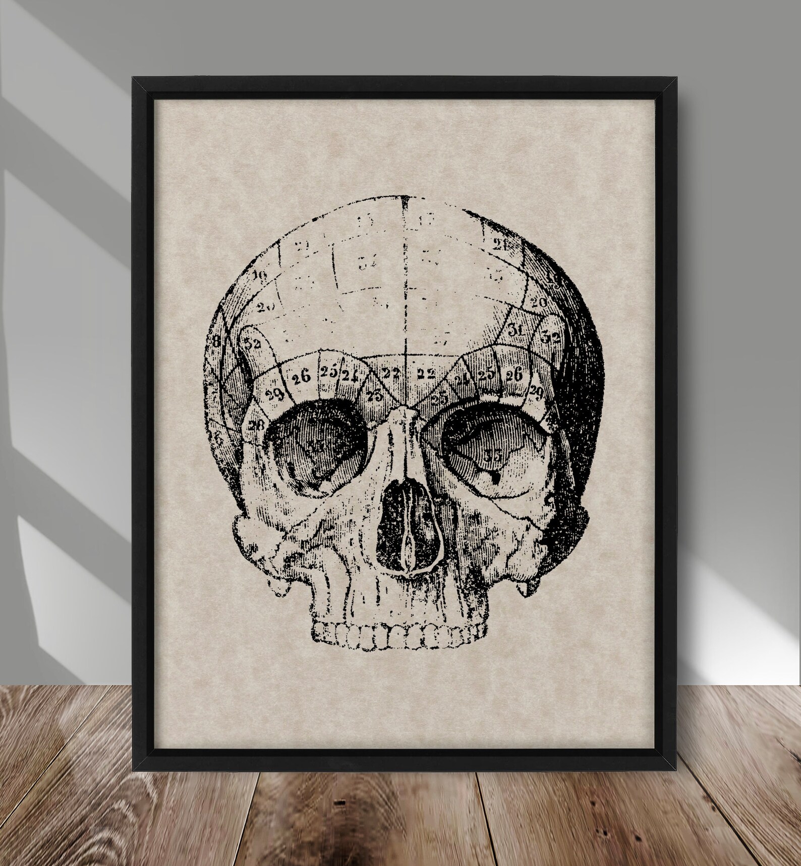 Human Skull Detail Chart Print, Anatomical Skull Poster, Skeletal ...