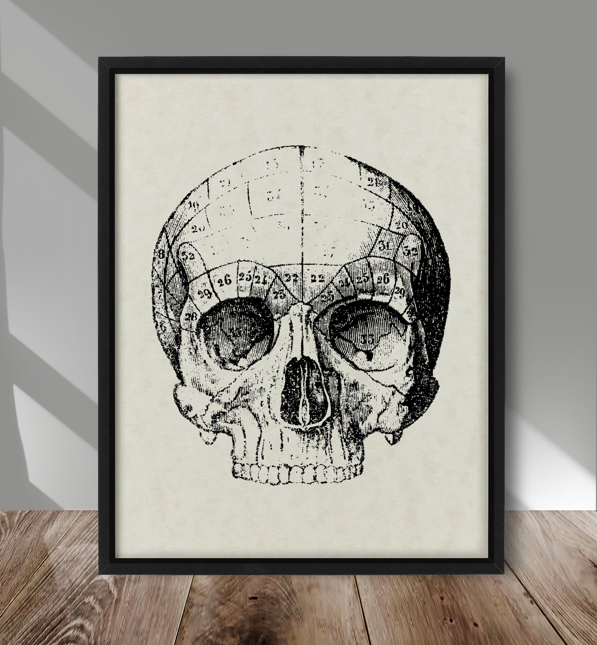 Human Skull Detail Chart Print, Anatomical Skull Poster, Skeletal ...