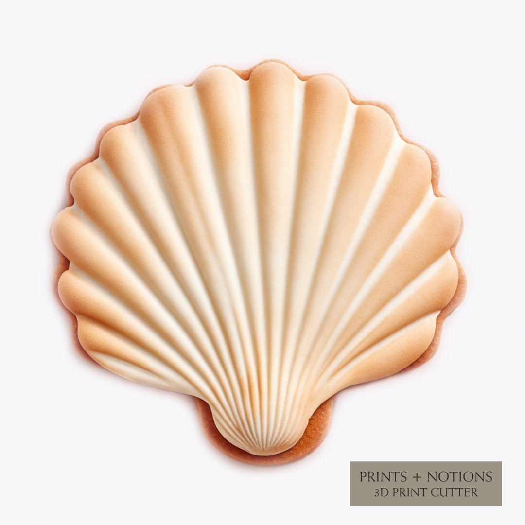 Seashell Cookie Cutter | Polymer Clay Cutters | Ceramic Clay Cutters ...