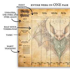 Witchy Weekly Planner Pages Printable Download One Week Organizer Witch ...