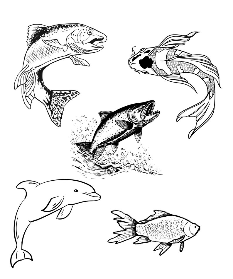 Vintage Fish Sketch, Fish Sketch Printable, Fish Drawing Print, Fish ...
