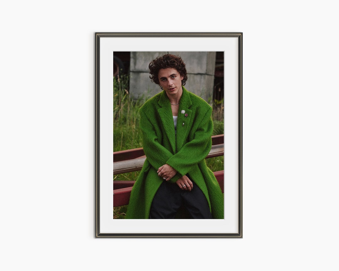Timothee Chalamet Poster Celebrity Photo Print Timothee - Etsy