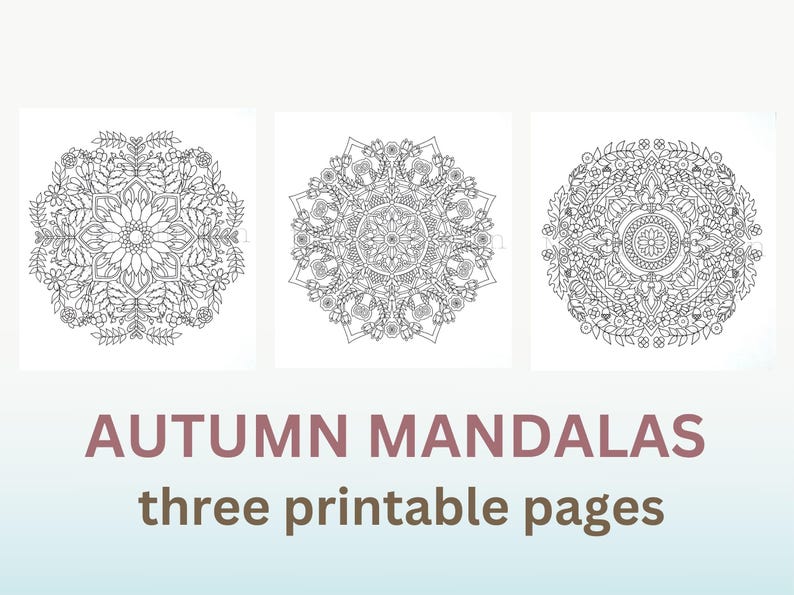 Mandala Colouring Pages: Autumn Mandalas - Etsy