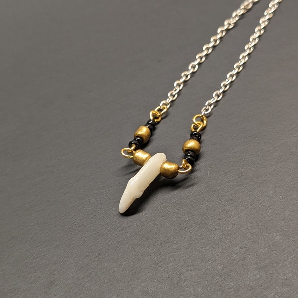 Dog Tooth Necklace - Etsy