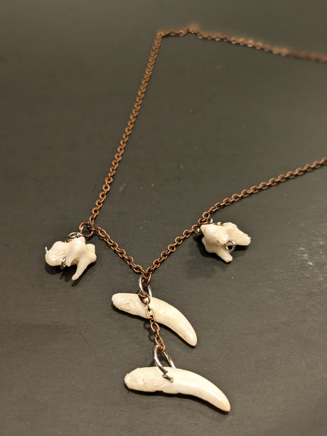 Dog Tooth Necklace, Chihuahua Tooth Necklace, Veterinary Gift - Etsy