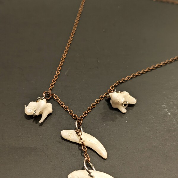 BonesbyBohn - Etsy