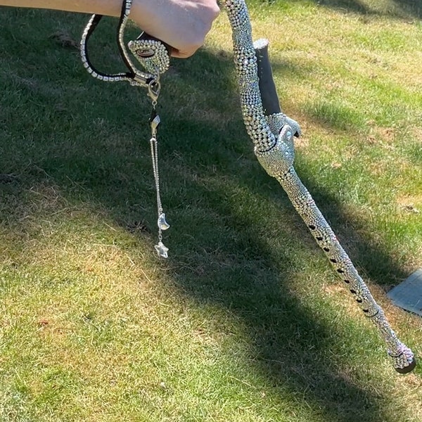Bling Walking Canes - Etsy