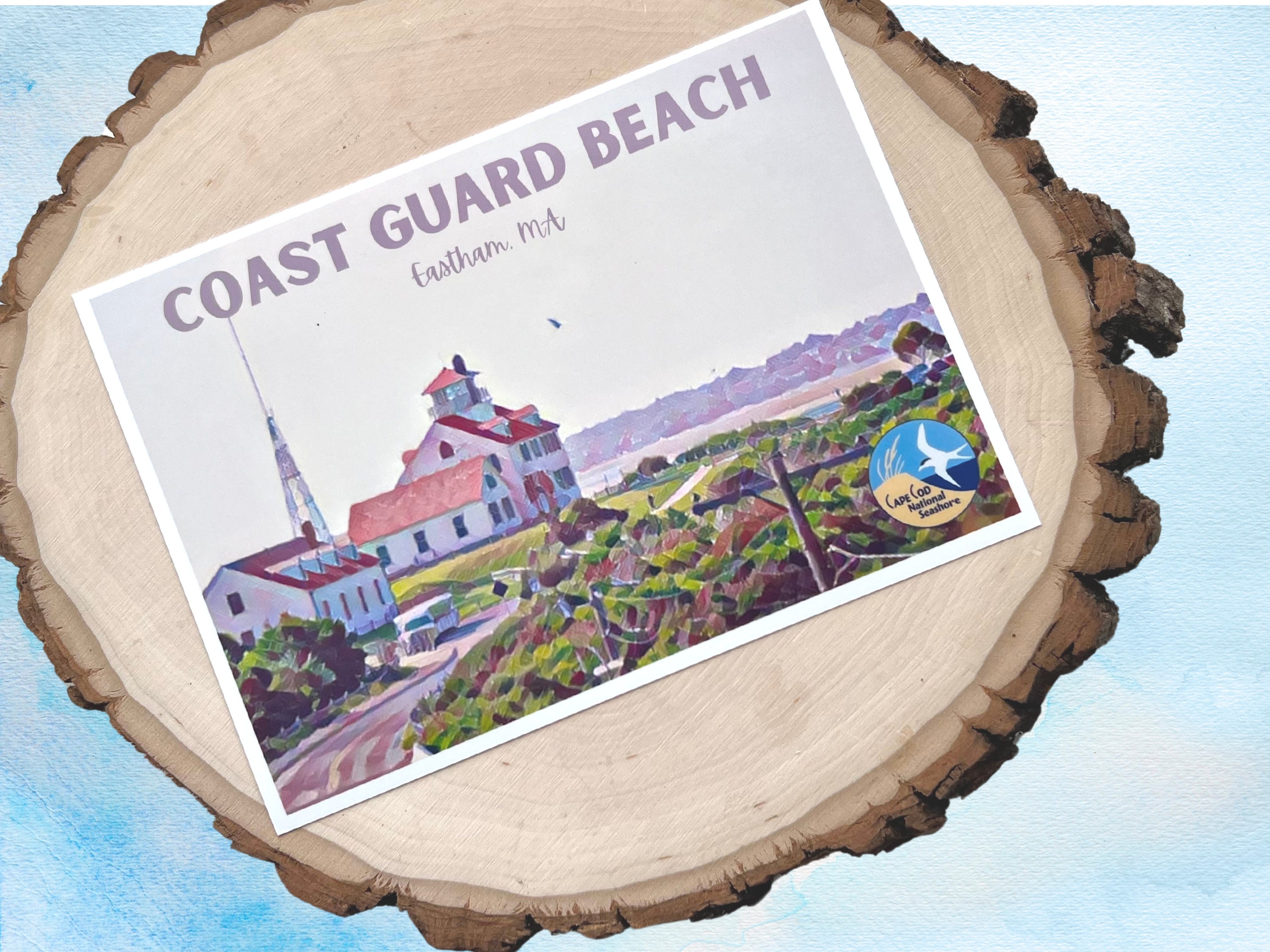 Cape Cod National Seashore Artwork Coast Guard Beach Framed Coastal ...