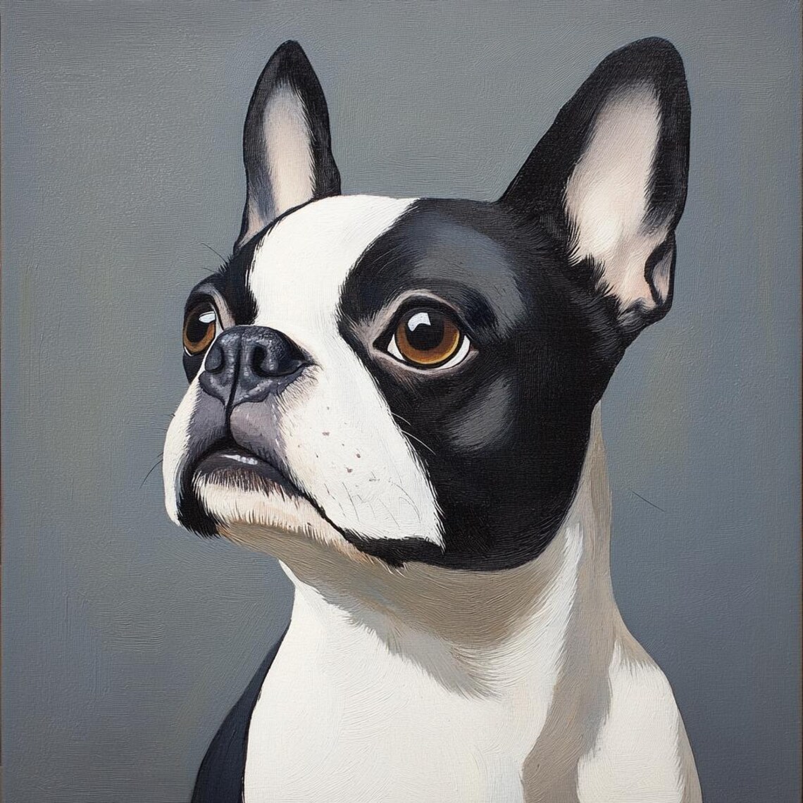 Animated Boston Terrier Digital Download - Etsy