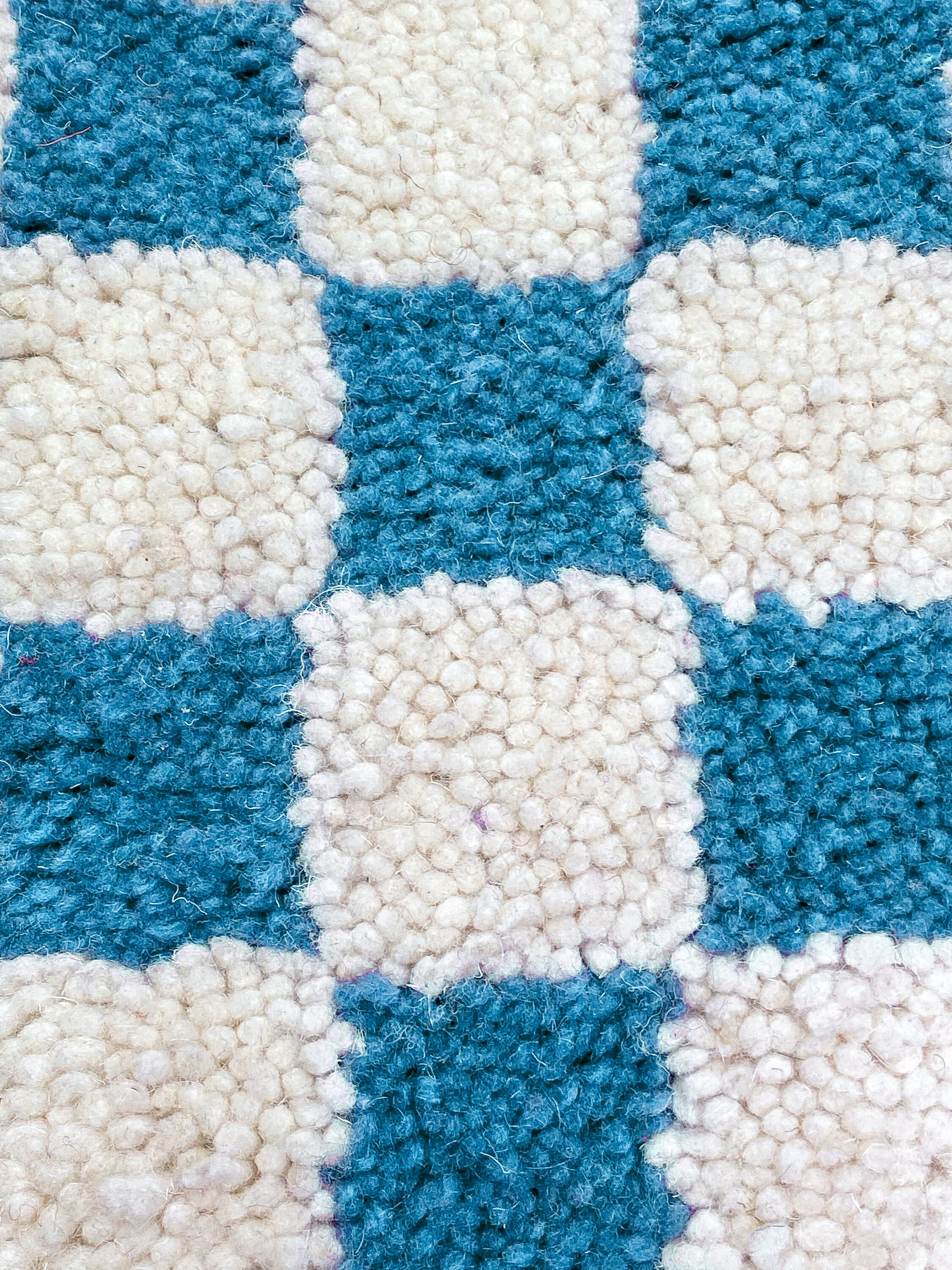 Blue and White Checkered Rug Light Blue Rug Checkered Rug 8x10 ...