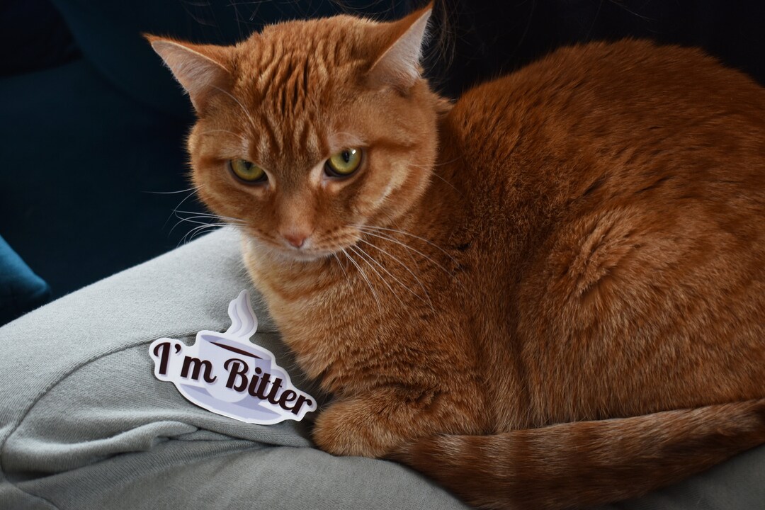 Funny I'm Bitter Gen Z Waterproof Vinyl Die Cut Sticker Silly Sarcastic ...