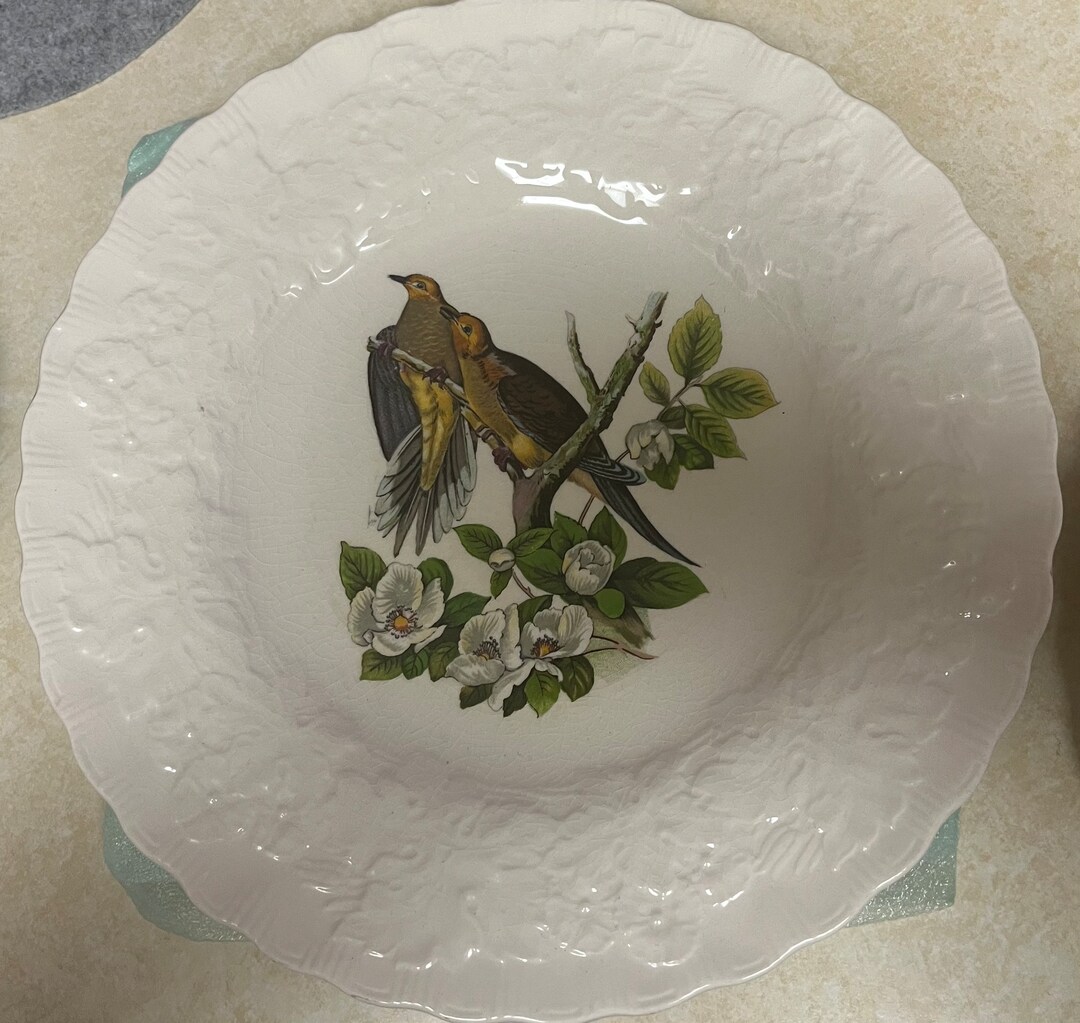 Audobon Bird Plates - Etsy