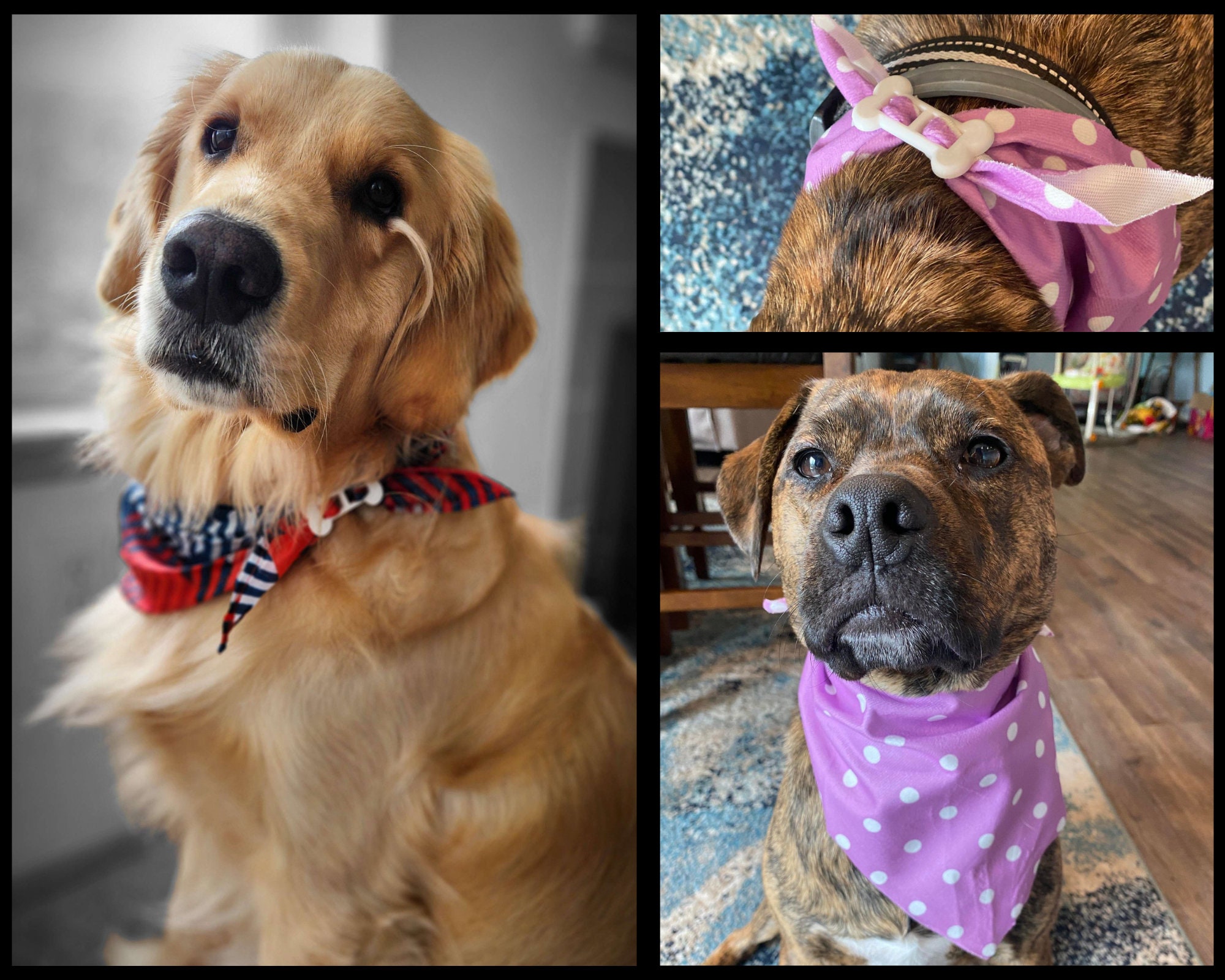 The Bandanabone - Classic White | the Adjustable Bandana Fastener for ...
