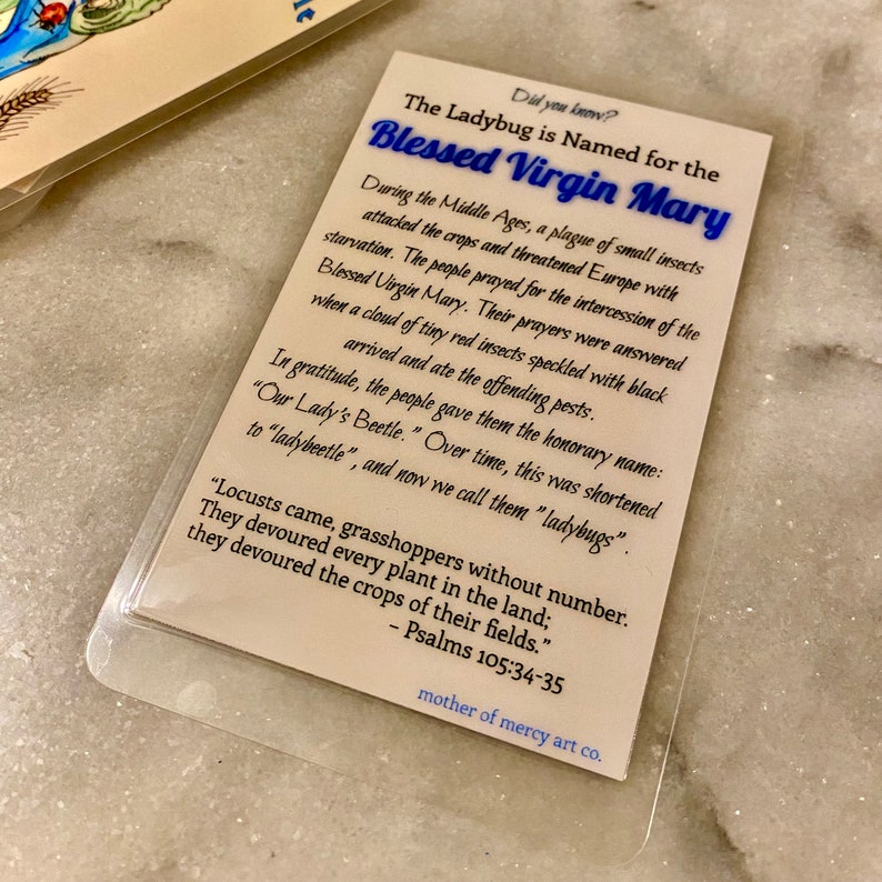 Our Lady's Beetle Virgin Mary Ladybug Prayer Card - Etsy