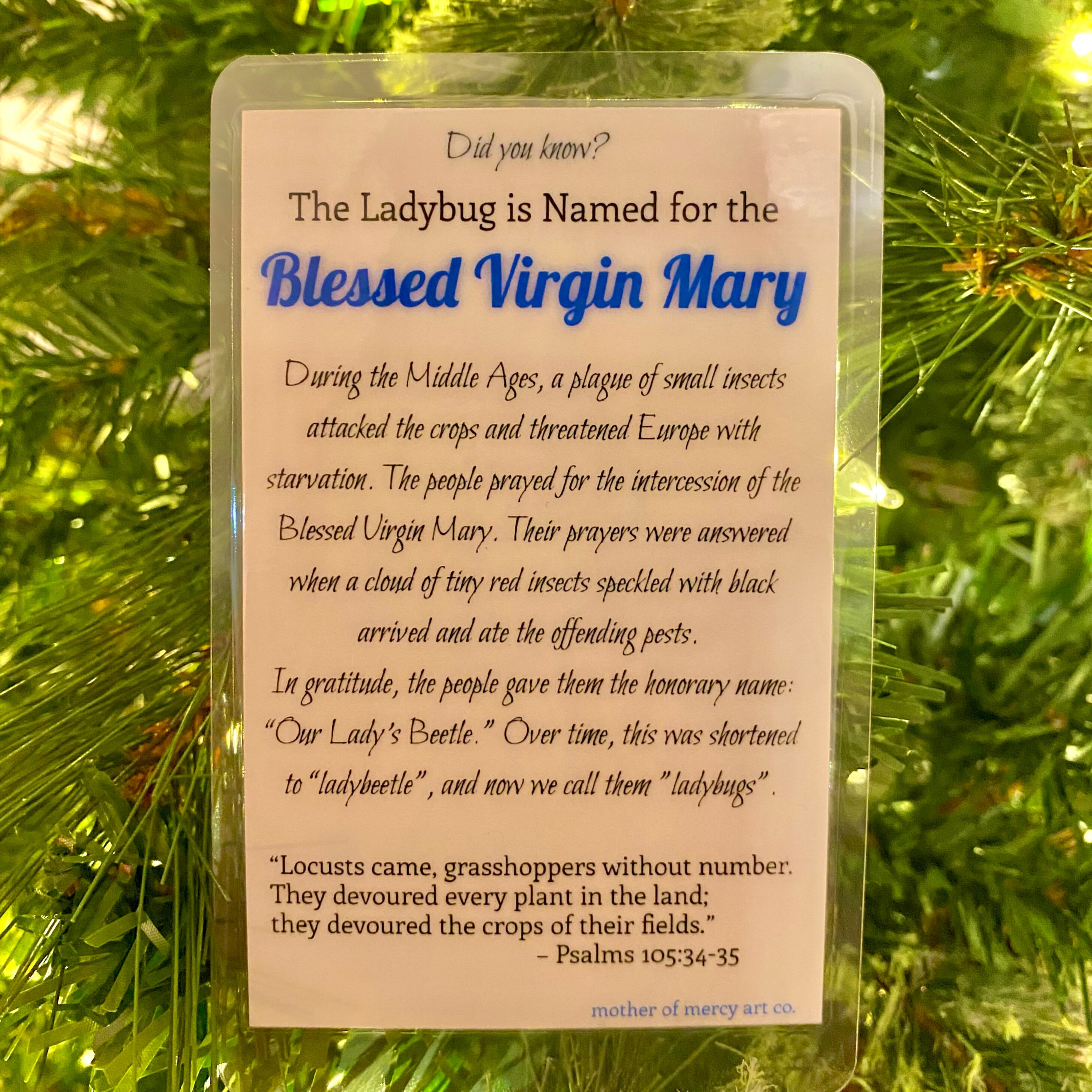 Our Lady's Beetle Virgin Mary Ladybug Prayer Card - Etsy