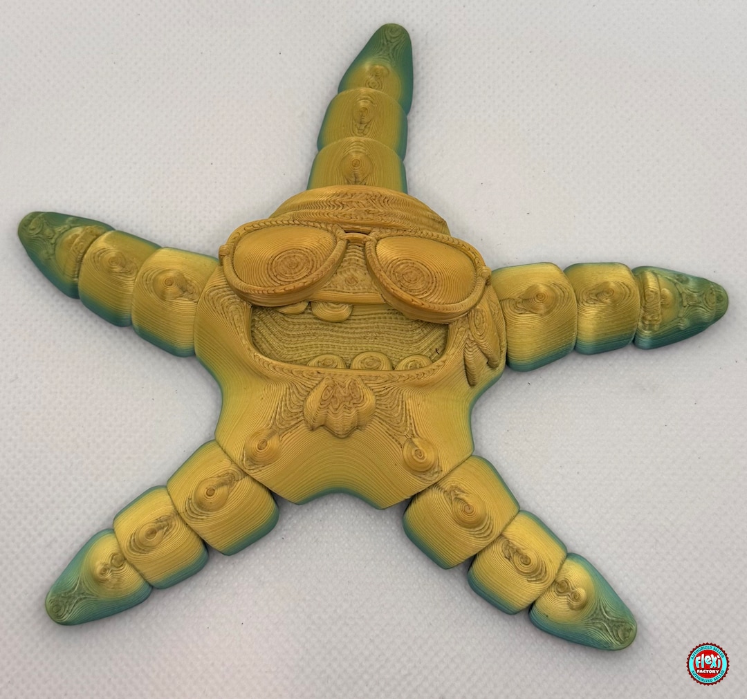 Flexi Starfish 3D Printed Toy Articulated Toy Fidget Toy Desk Toy - Etsy