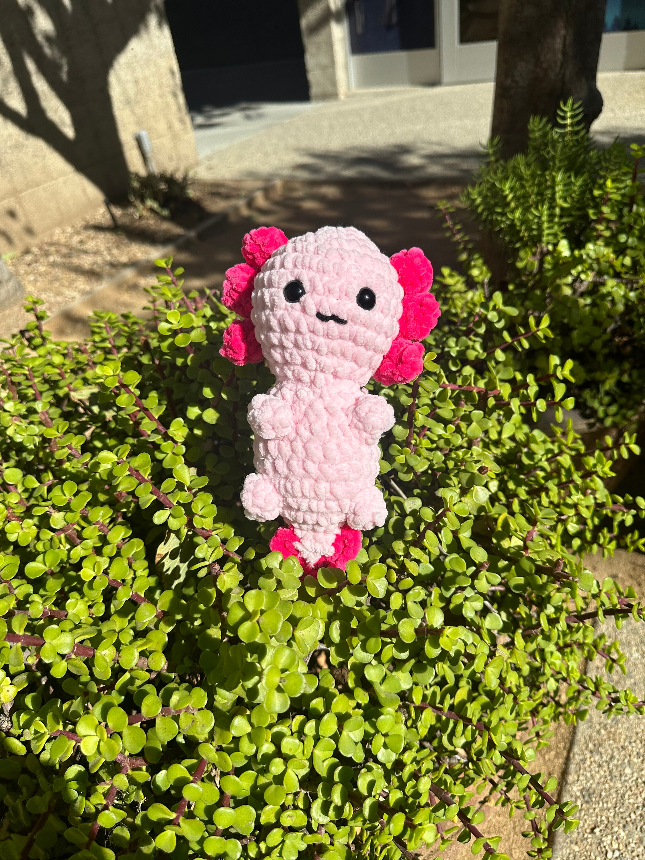 Axolotl Plushie CUSTOMIZABLE - Etsy