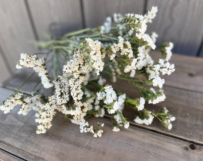 Dried Statice, Dried Flowers, Creamy White, Everlasting Flowers ...