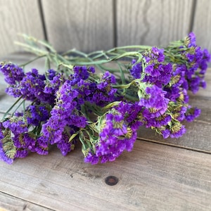 Dried Statice, Dried Flowers, Deep Violet Purple, Everlasting Flowers ...