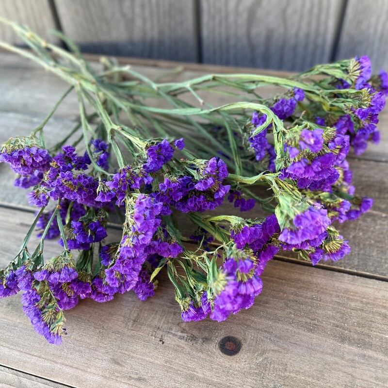Purple Dried Flower - Etsy