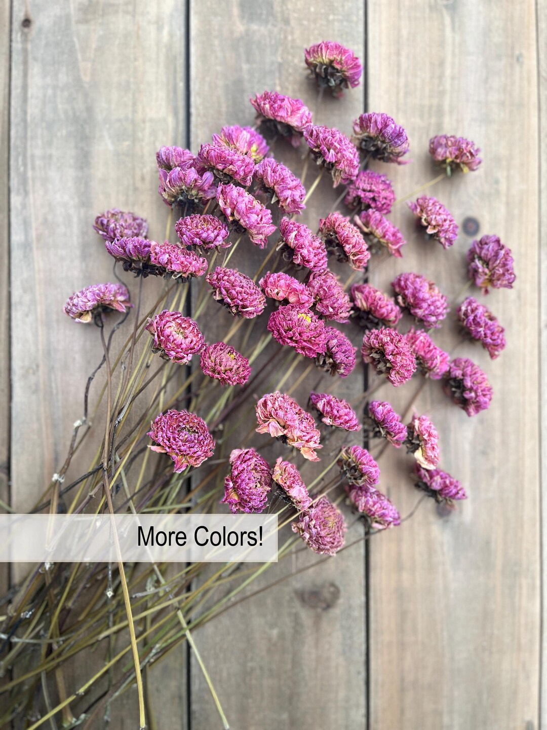 Dried Dahlia Flowers in Shades of Pink, Purple, Mauve, Magenta, Fuchsia ...