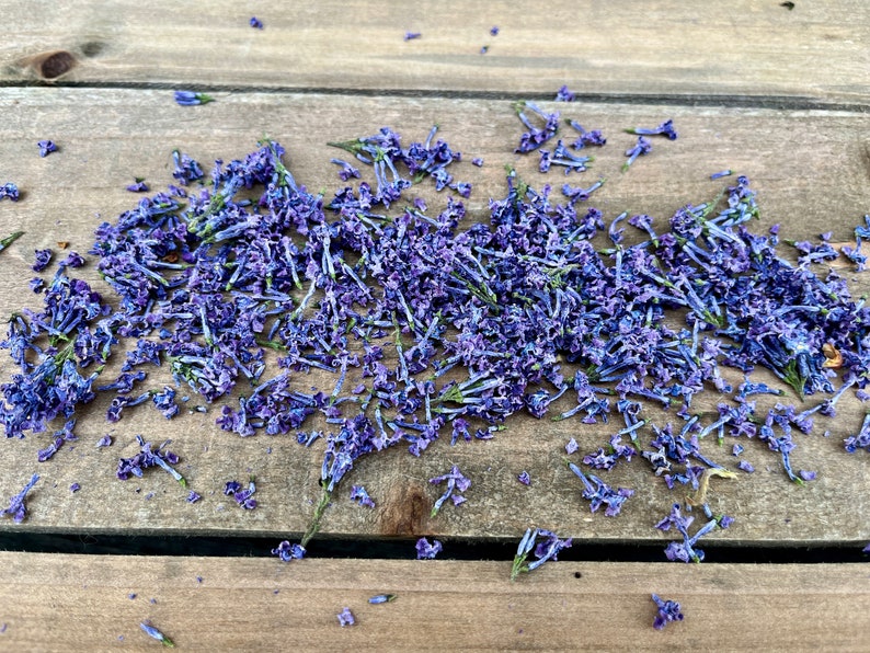 Dried Lilac Flowers - Etsy