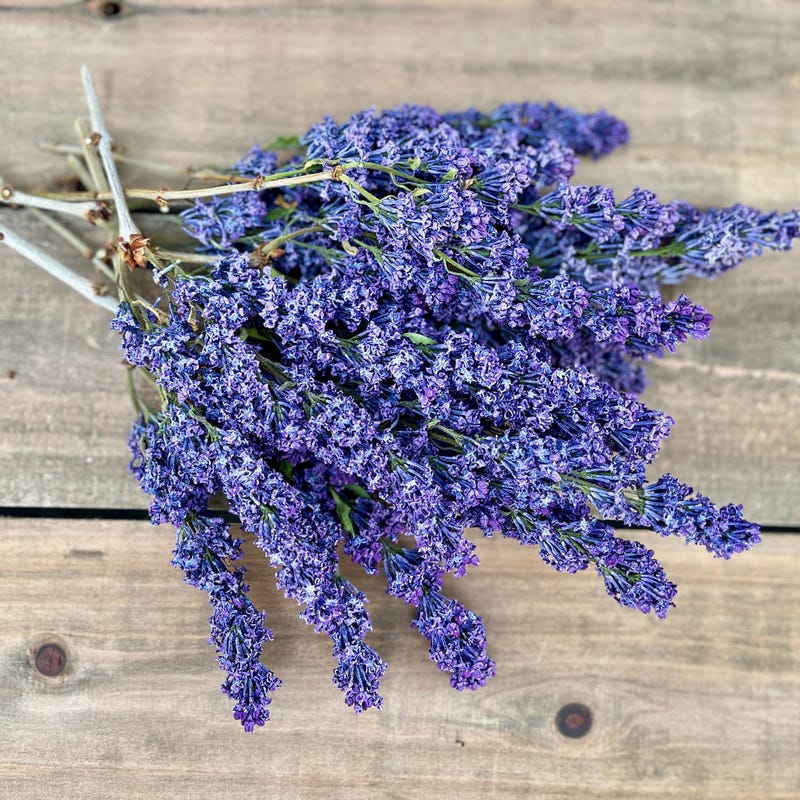 Lilac Dried Flowers Bunch - Etsy
