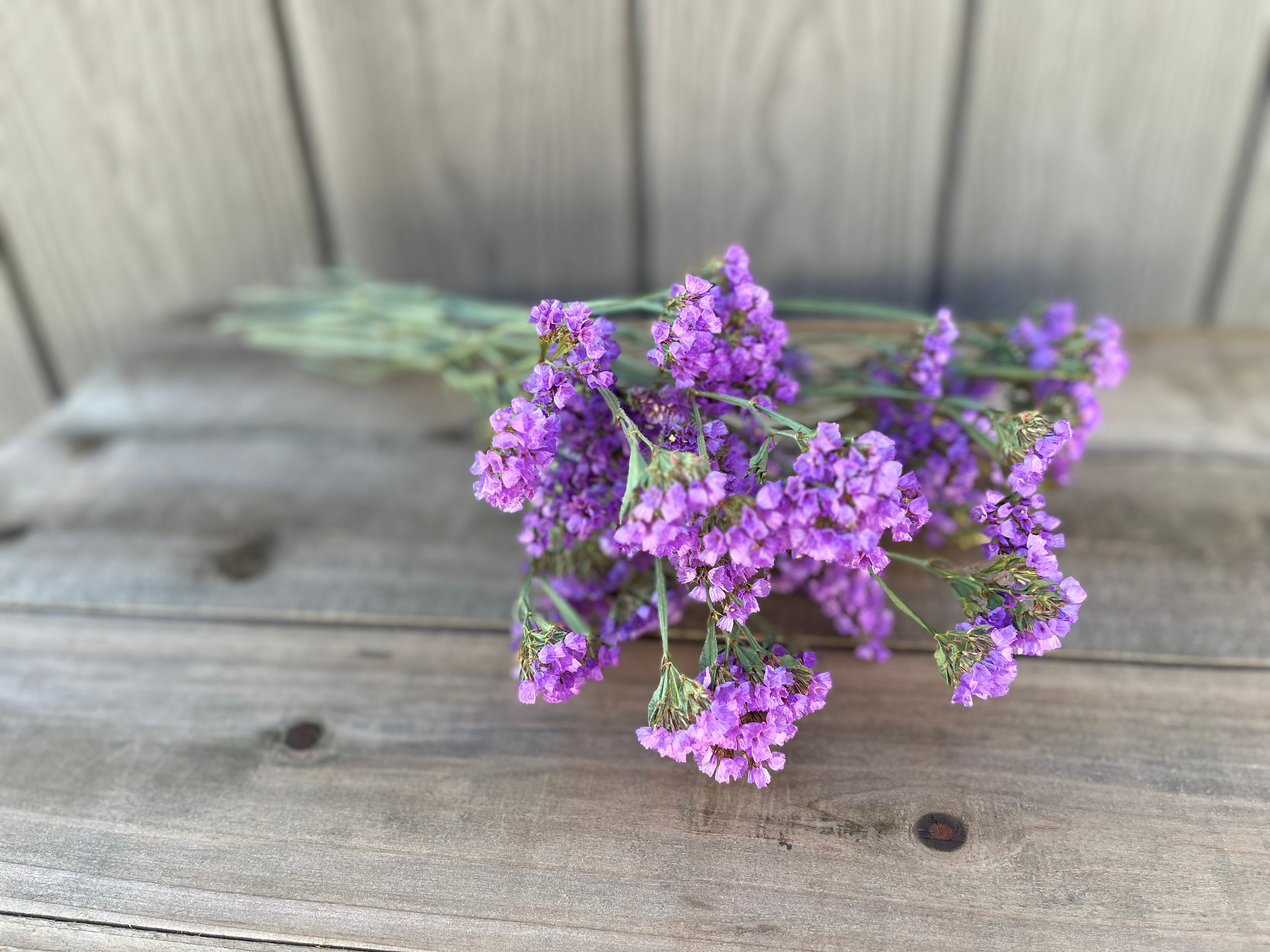 Dried Statice, Dried Flowers, Soft Violet Purple, Everlasting Flowers ...