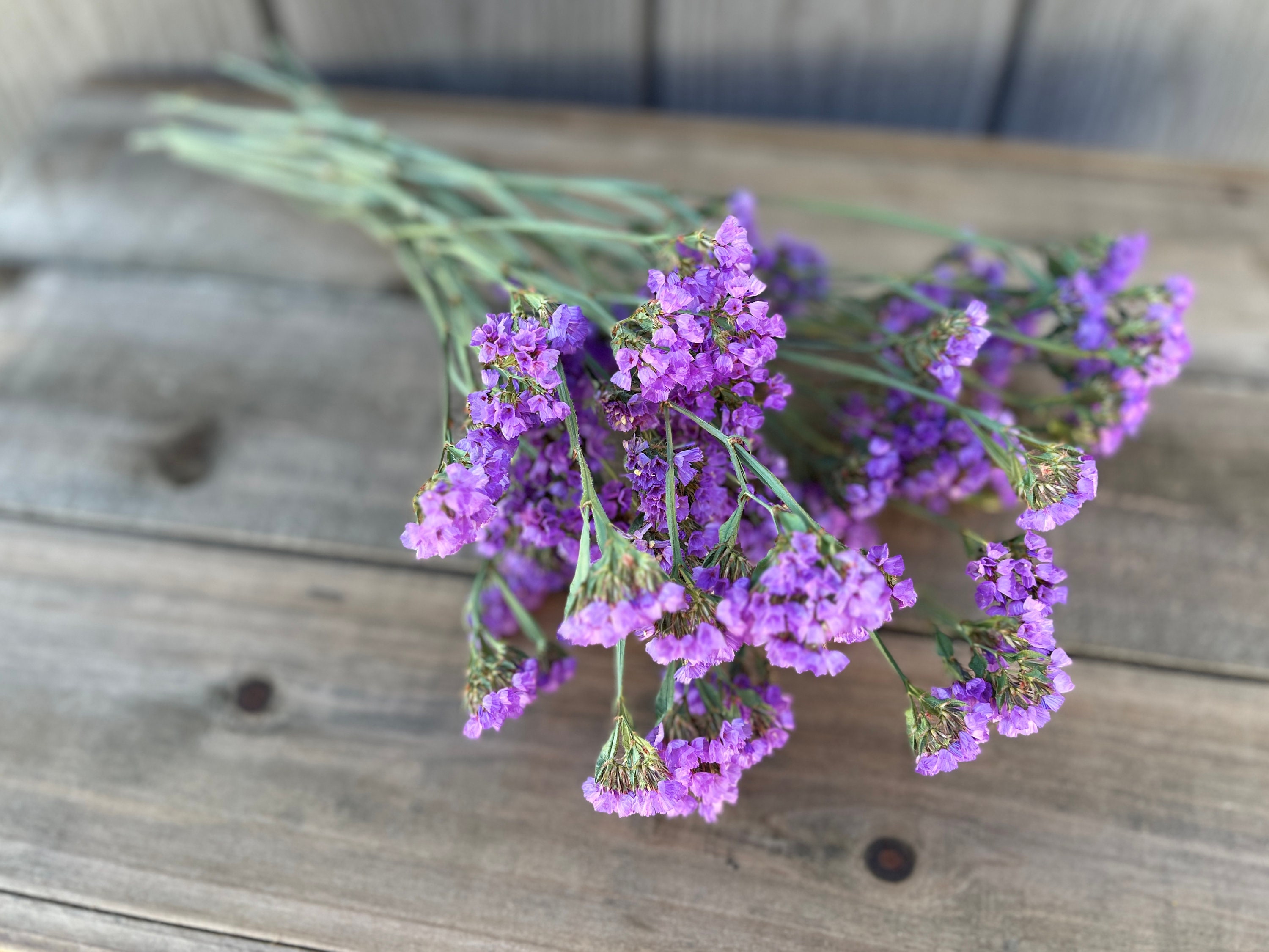 Dried Statice Flowers in Soft Violet Purple - Etsy