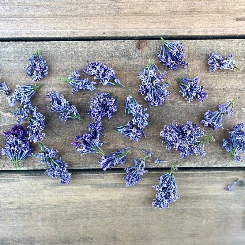 Dried Flowers - Etsy