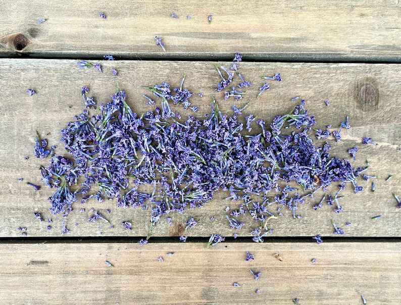 Dried Lilac Flowers - Etsy