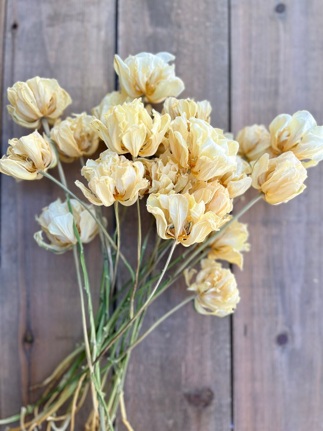 Dried Tulips, Dried Flowers, Everlasting Flowers, Wedding Flowers ...