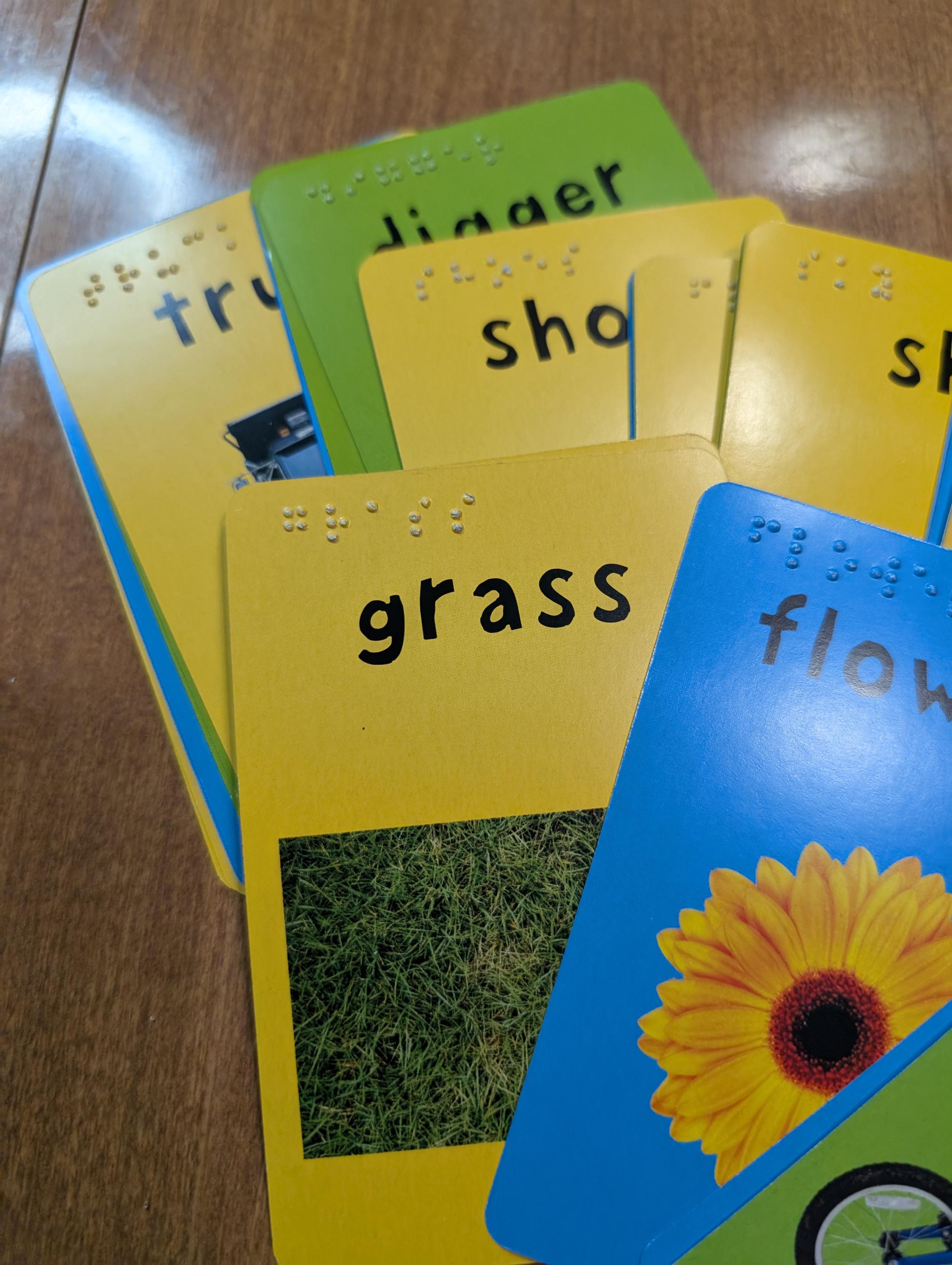 Braille First Words Matching Game | Accessible Memory Game for Blind ...