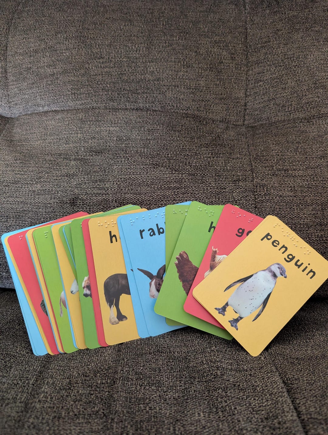 Braille Animal Matching Game | Accessible Memory Game for Blind ...