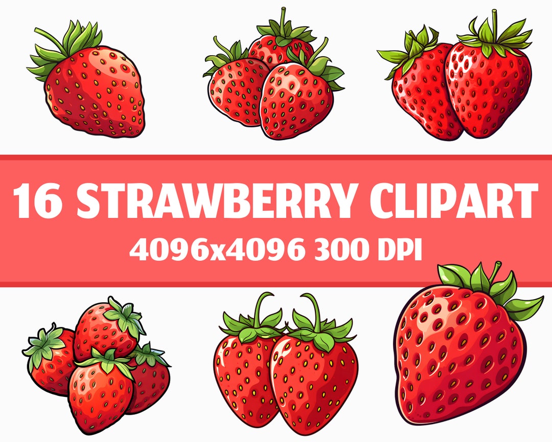 Strawberry Clipart Bundle 16 Transparent High Quality PNG Images - Etsy