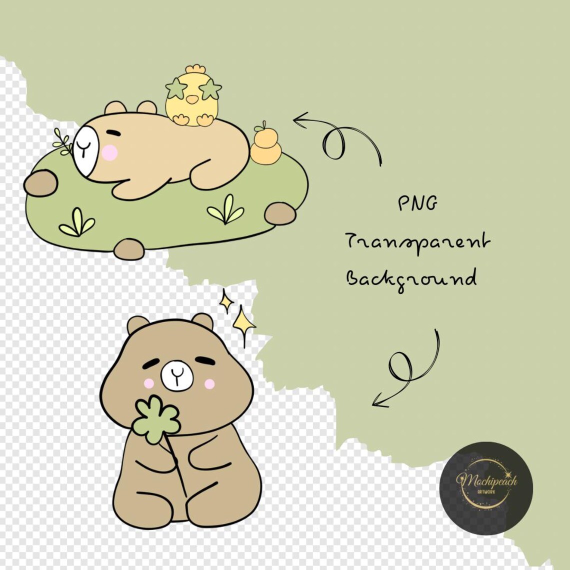 St. Patrick's Day Capybara Clipart: Groovy Irish PNG (digital Download ...