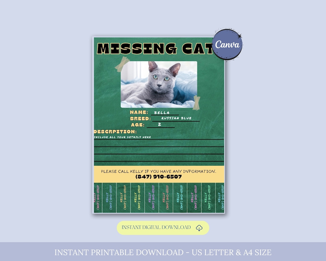 Missing Cat Flyer Template, Lost Cat Poster, Editable Lost Pet Poster ...