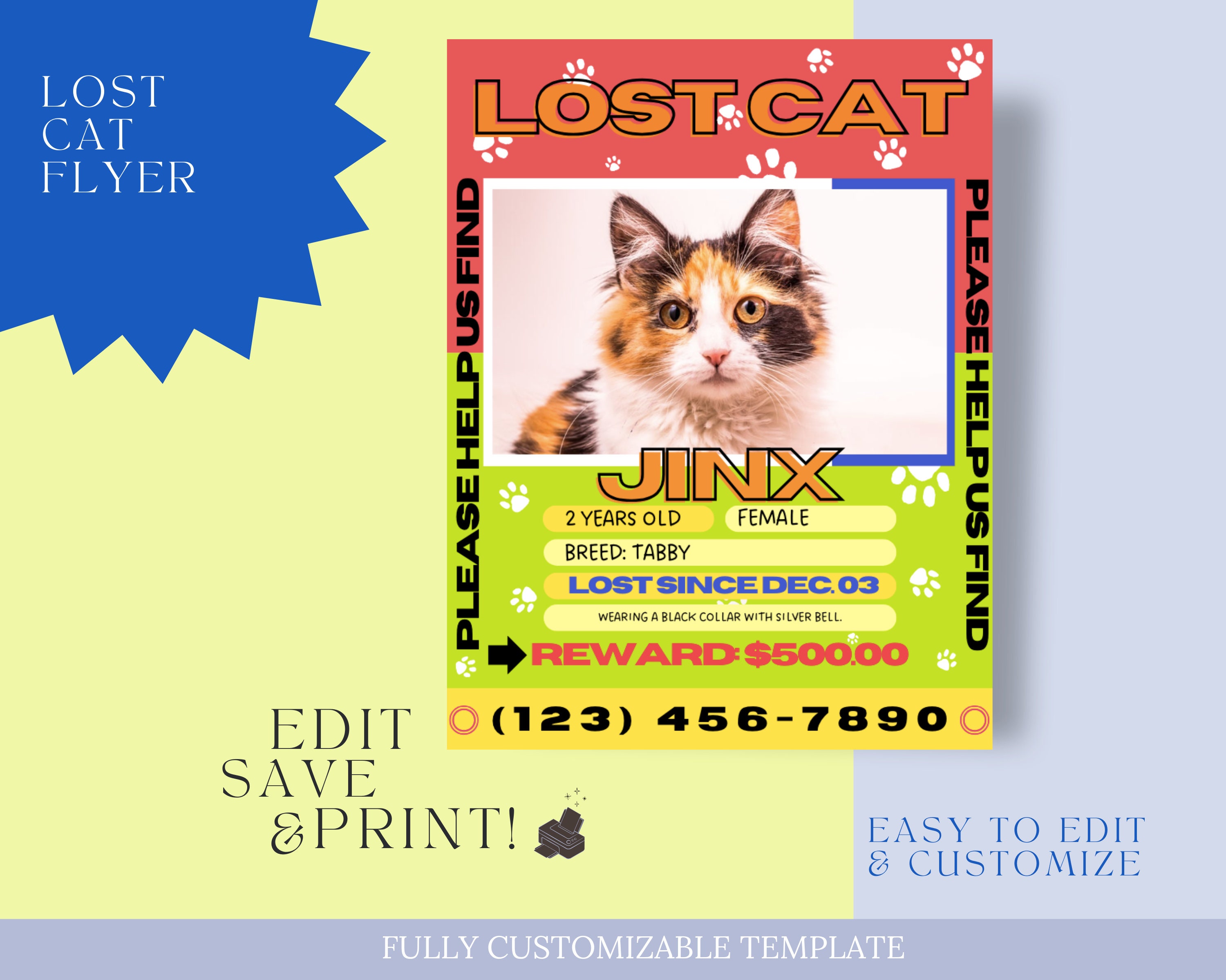 Missing Cat Template, Missing Cat Flyer, Editable Lost Pet Poster, Lost ...