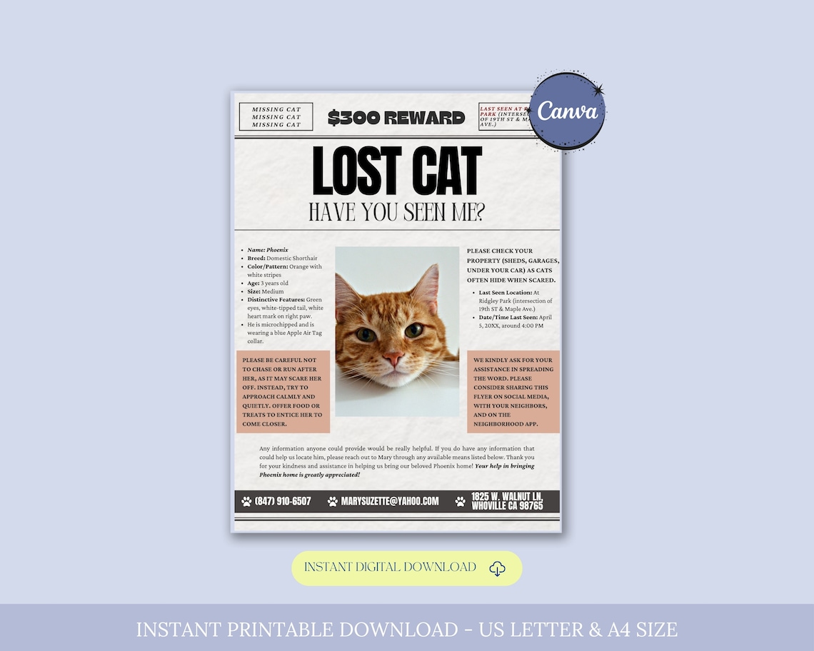 Modèle de Flyer chat disparu, affiche chat perdu, affiche modifiable d ...