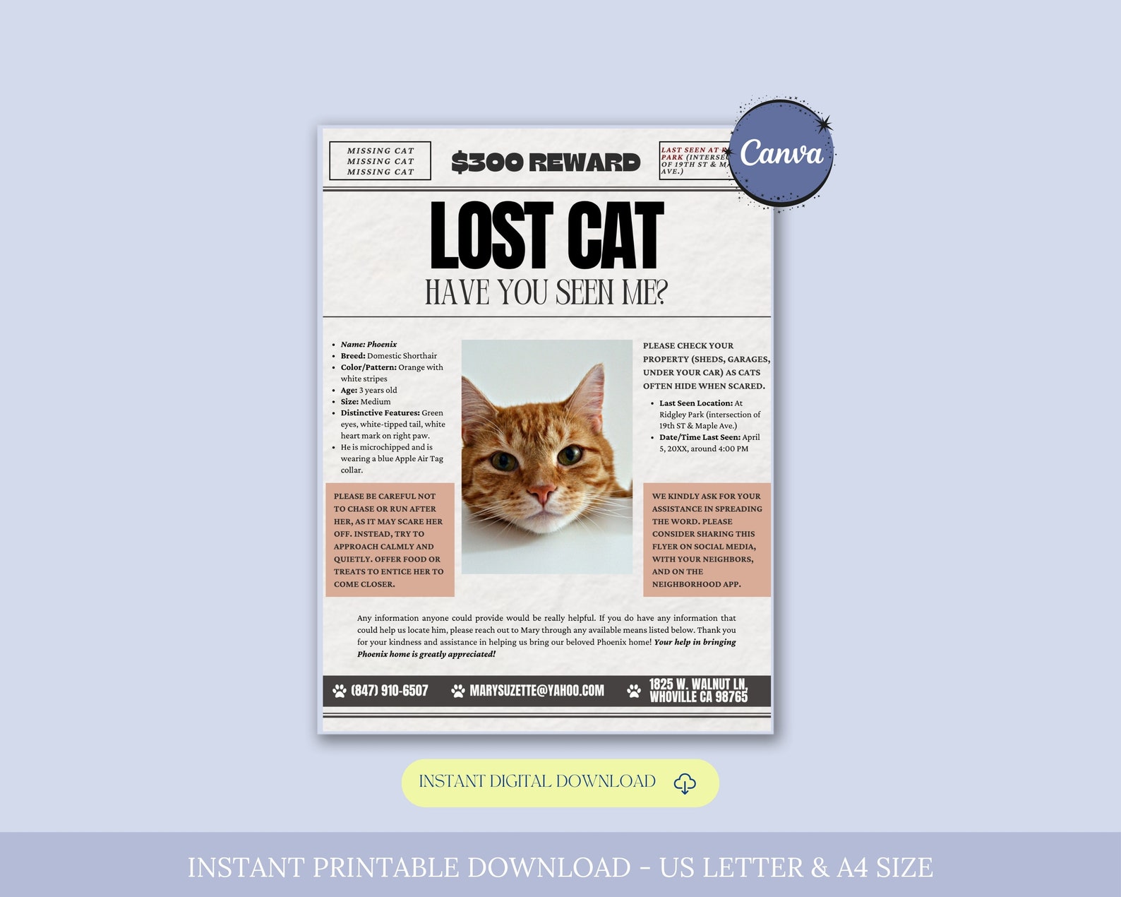 Modèle de Flyer chat disparu, affiche chat perdu, affiche modifiable d ...