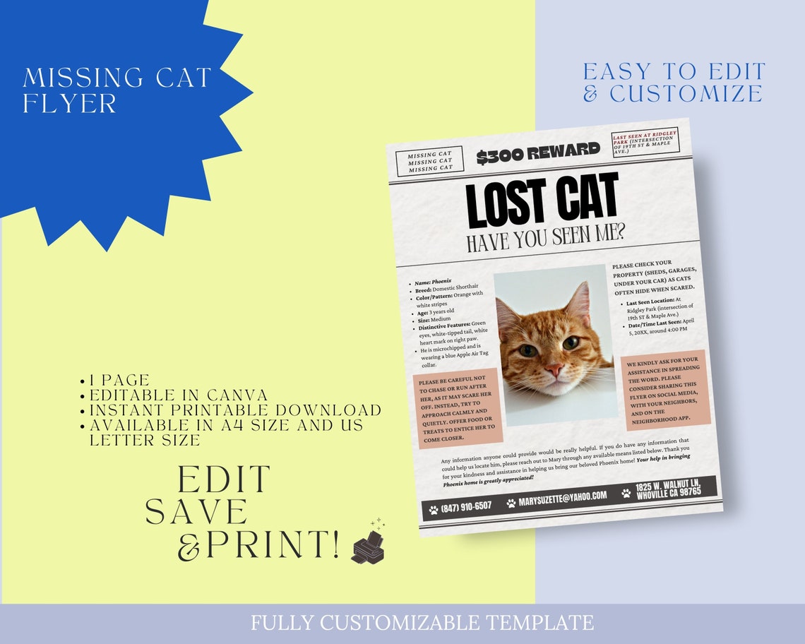 Modèle de Flyer chat disparu, affiche chat perdu, affiche modifiable d'animal de compagnie perdu ...